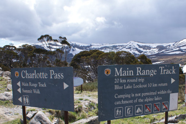 Main range track - Escape Trekking Adventures