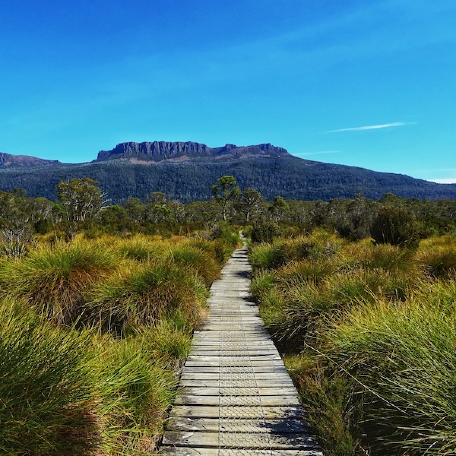 Overland Track Tasmania 01 - 08 April 2022 - Escape Trekking Adventures